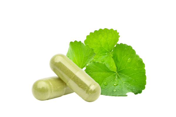 Naturopath Perth » Gloria Cicchini Naturopathic Practitioner